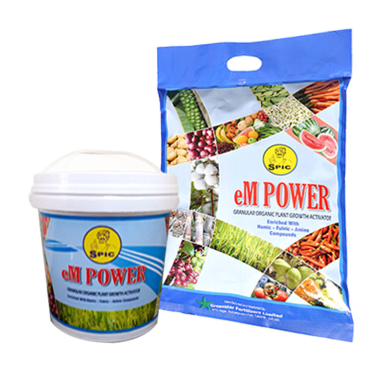 Bio, Organic, In-Organic Fertilizers | Best Fertilizer for Rice