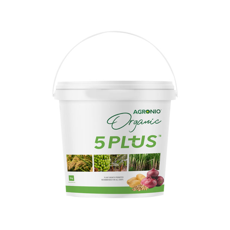 Bio, Organic, In-Organic Fertilizers | Best Fertilizer for Rice